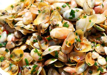 帘蛤目 Veneroida 蓝色动物学（中国动物学科普）